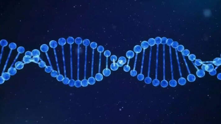 Arima Genomics Announces New Structural Variant Detection Products - AI ... Arima Genomics Announces New Structural Variant Detection Products - AI ...