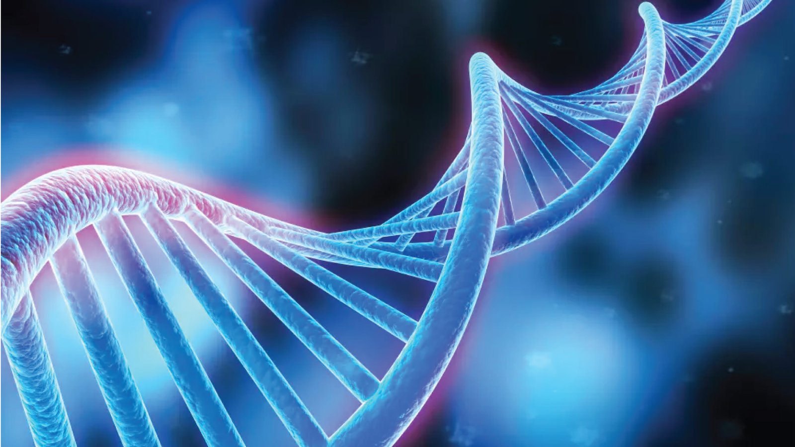 OriCiro Announces B2 Financing to Advance Cell-Free DNA Technology - AI ...
