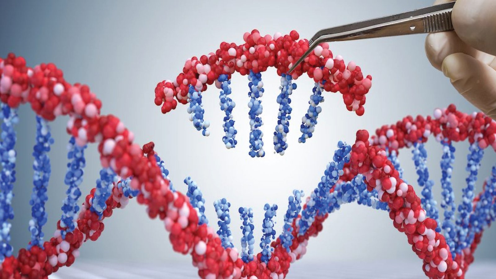 Kevin DeGeeter Joins Nabsys as Chief Financial Officer - AI-Tech Park