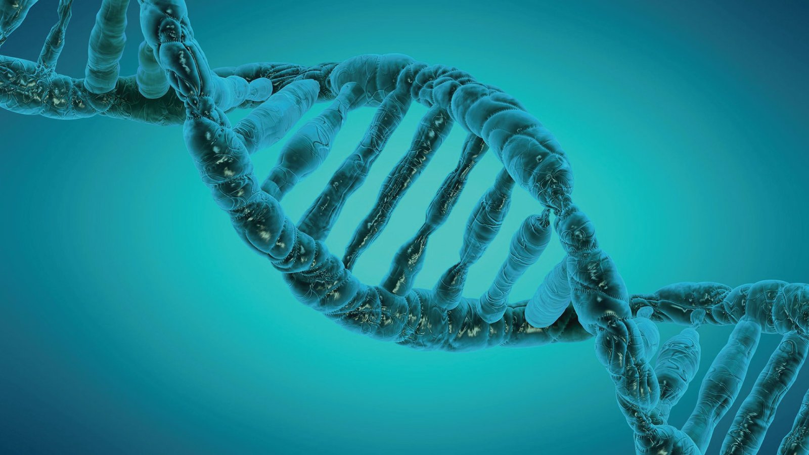 Vizgen Announces International Expansion into Asia Pacific & EMEA - AI ...