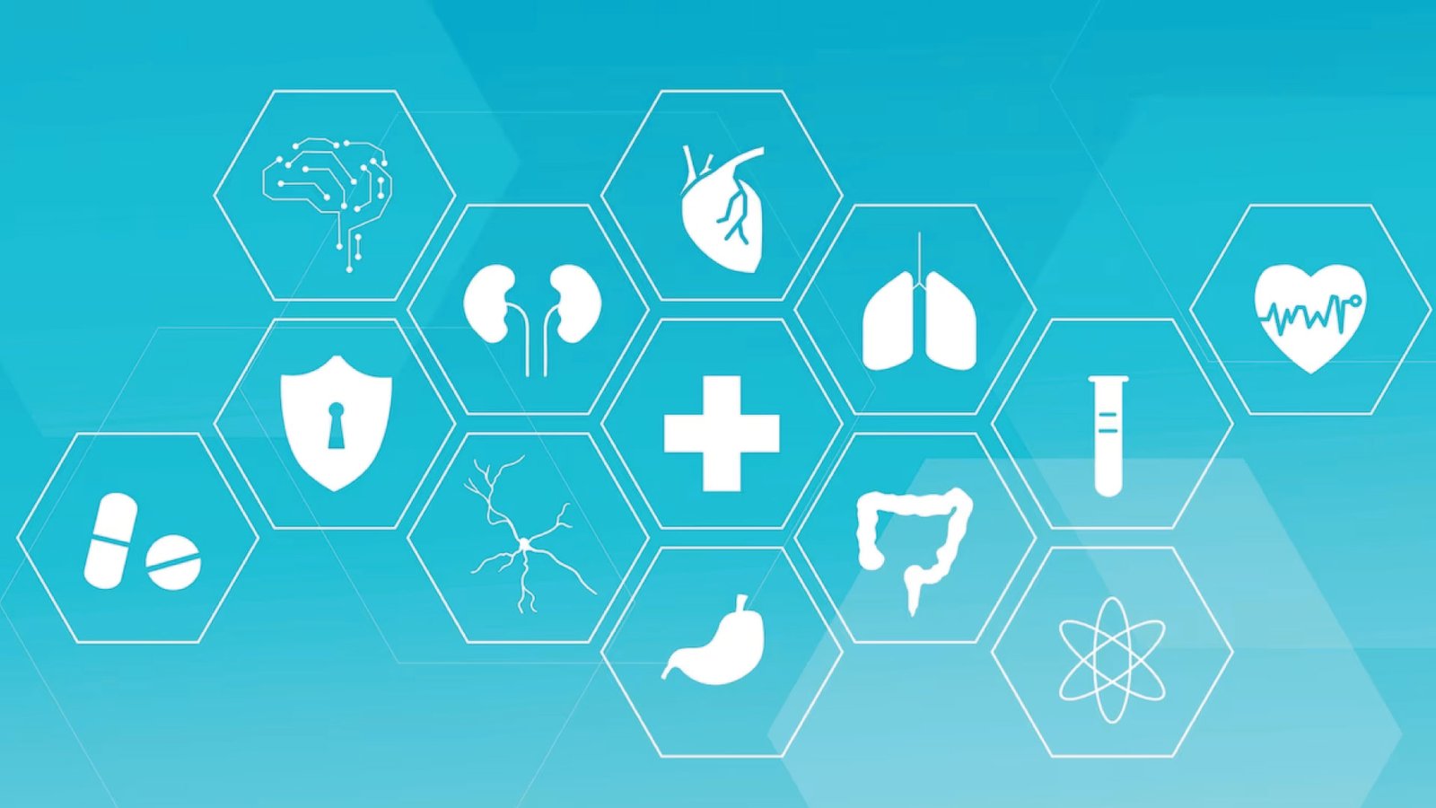 Wellfit Technologies earns 2024 Great Places to Work Certification