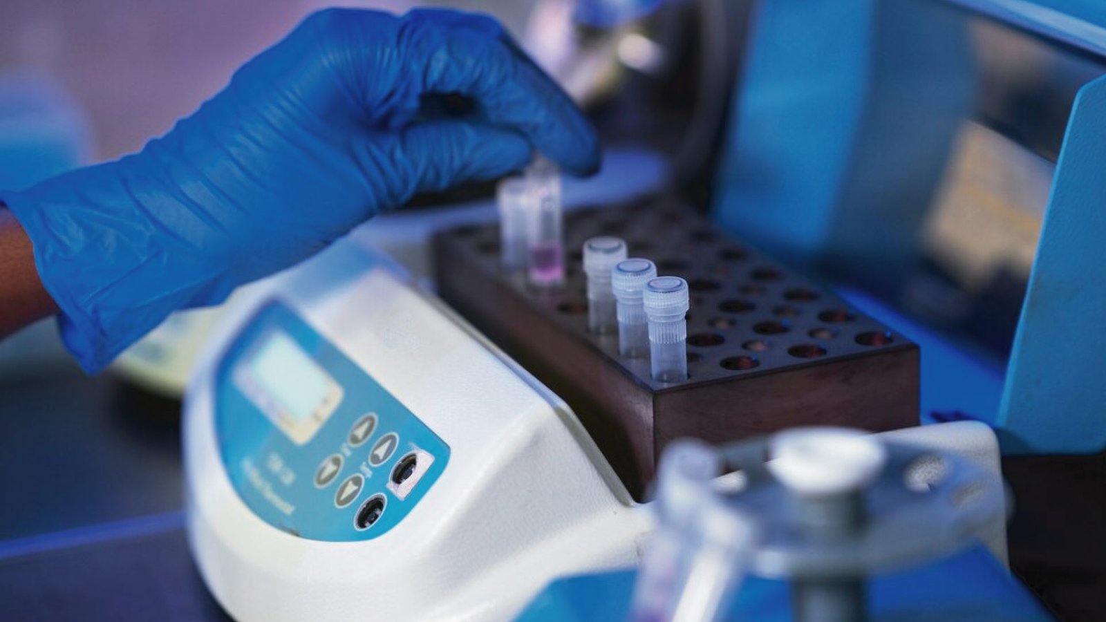 Lunit Joins Roche's Digital Pathology Open Environment